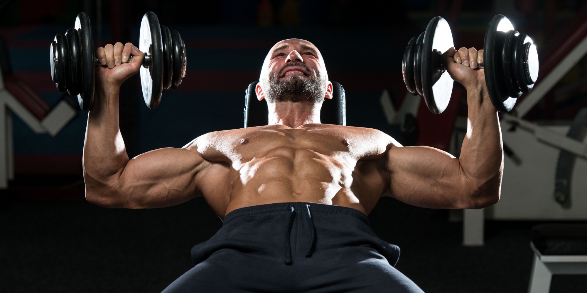 Advanced Strength Building Bundle | MAPS Fitness Products