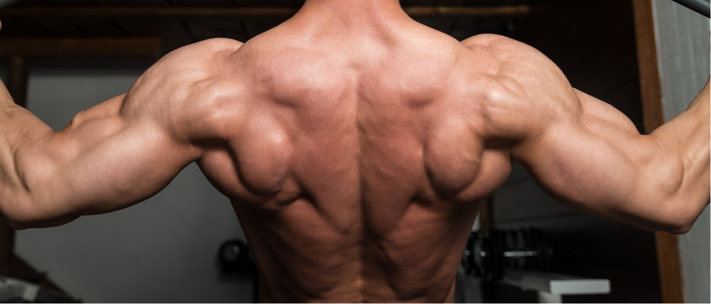 MAPS Back Mod | Muscular Adaptation Programming System